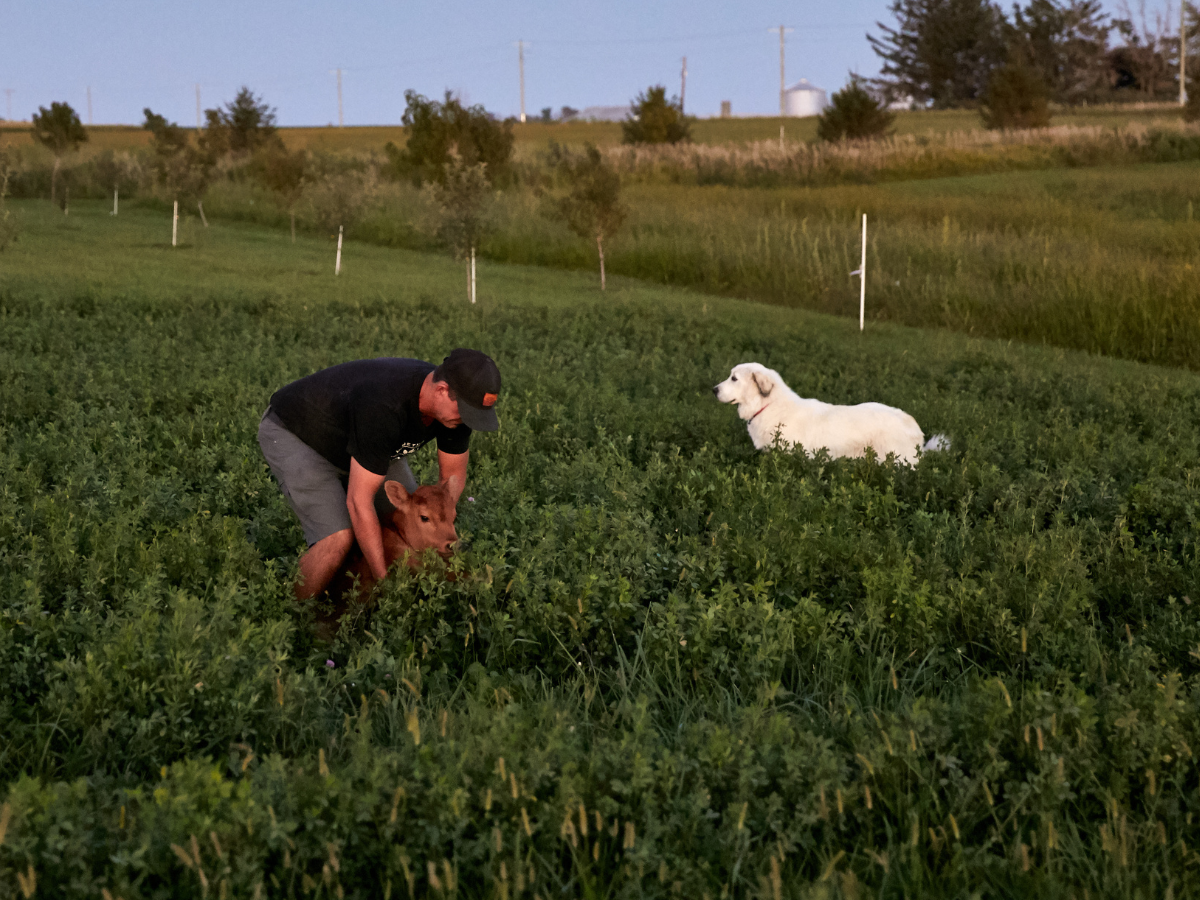 Regenerative Farming